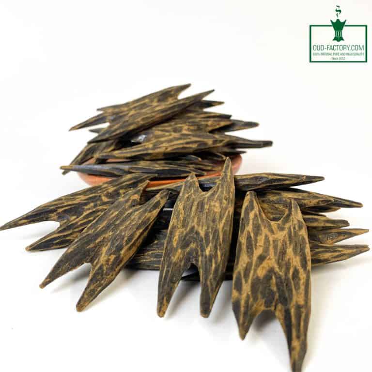 Sanai - Tiger Oud - Ouds Factory