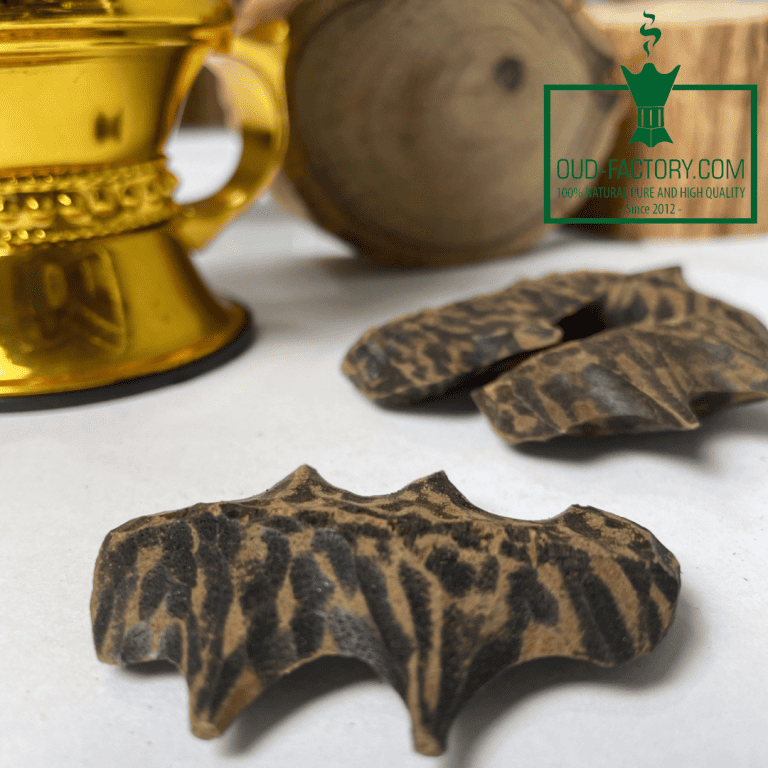 Sanai - Tiger Oud - Ouds Factory